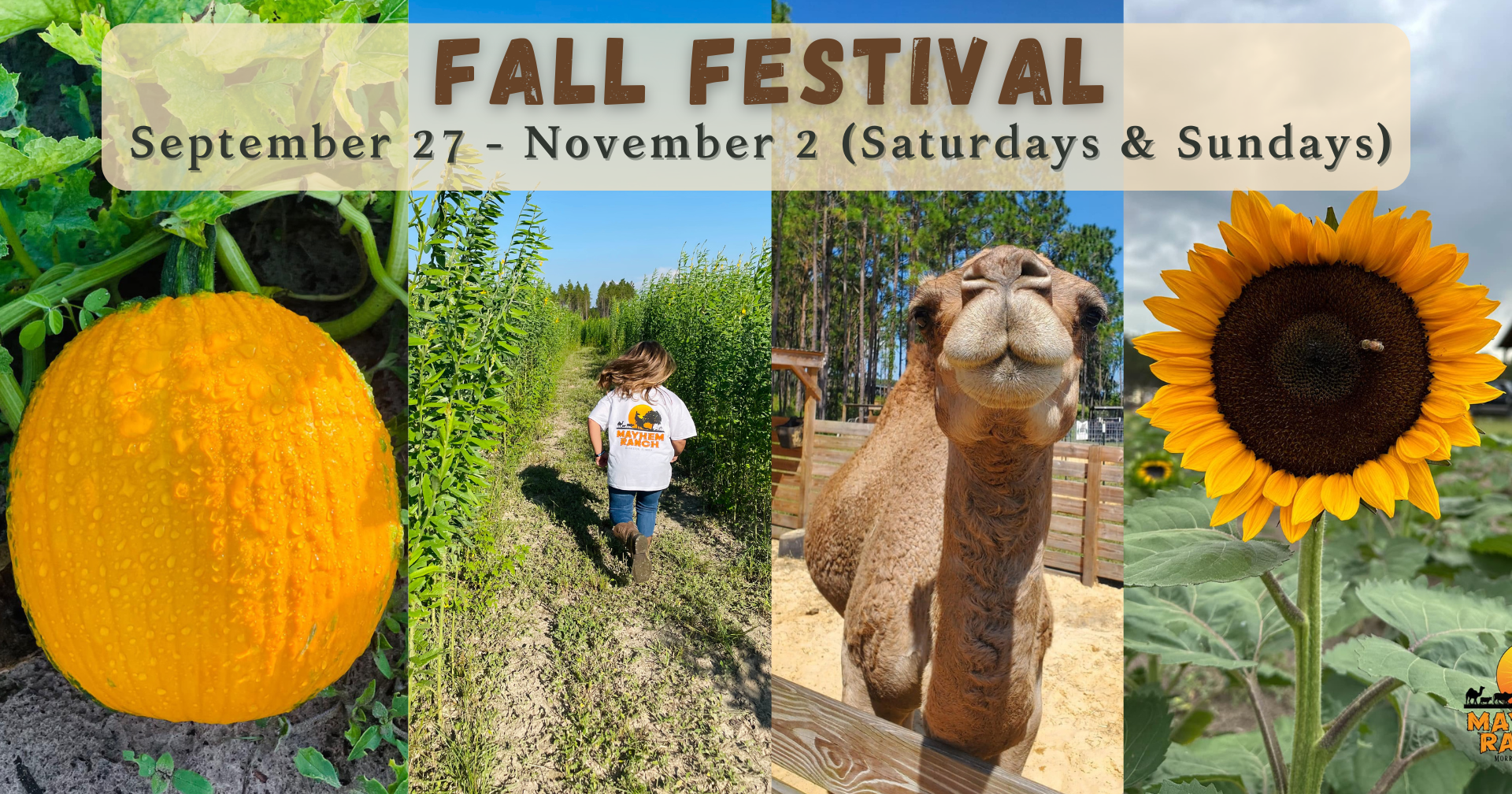 Mayhem Ranch Fall Festival | Mayhem Ranch Florida